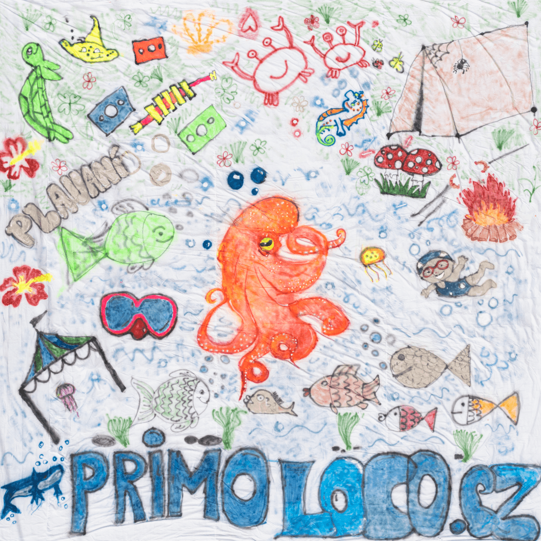 České Budějovice: Evropské hlavní město kultury 2028! PRIMO LOCO ...